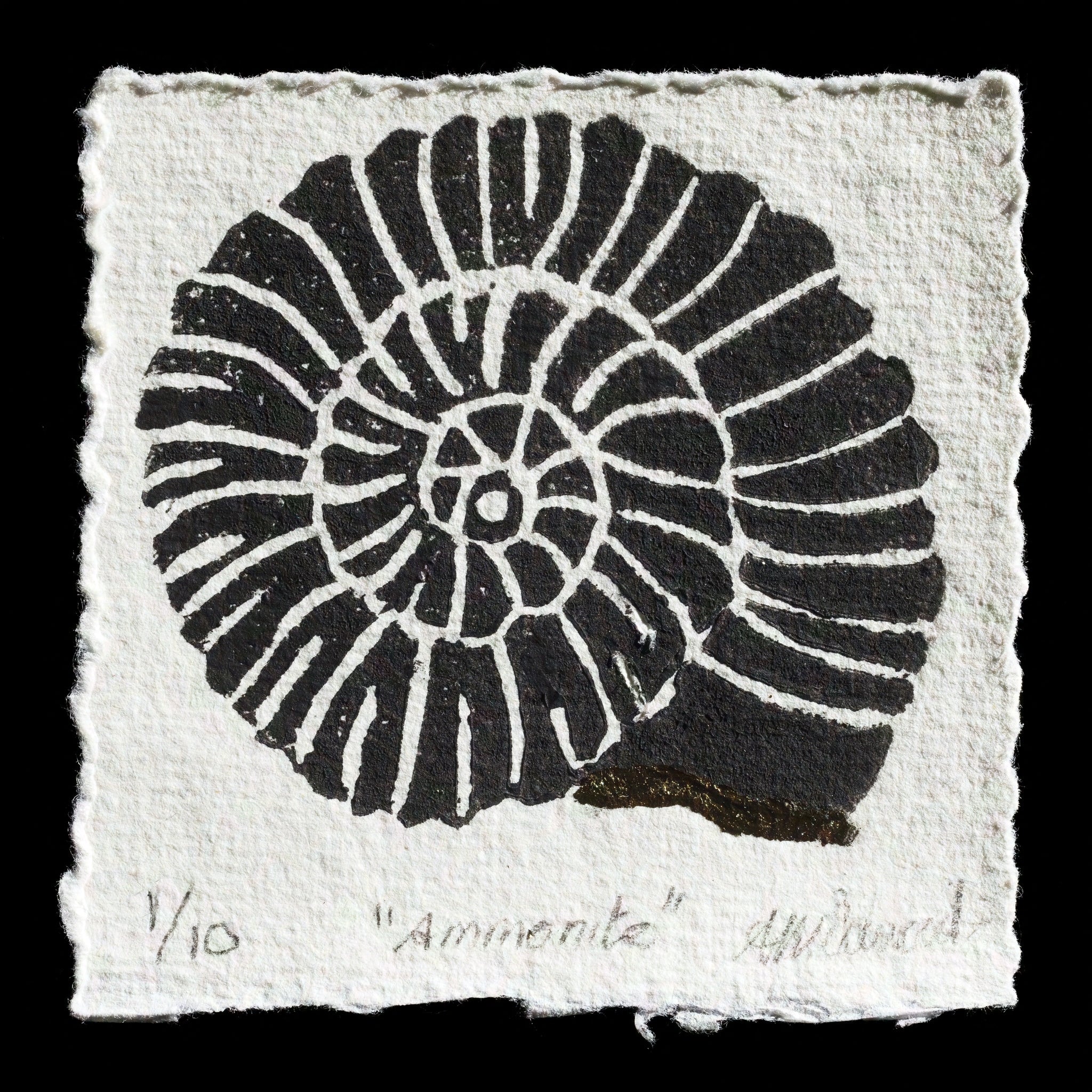"Ammonite" by Angela Dawood – OPEN PRINT EXCHANGE