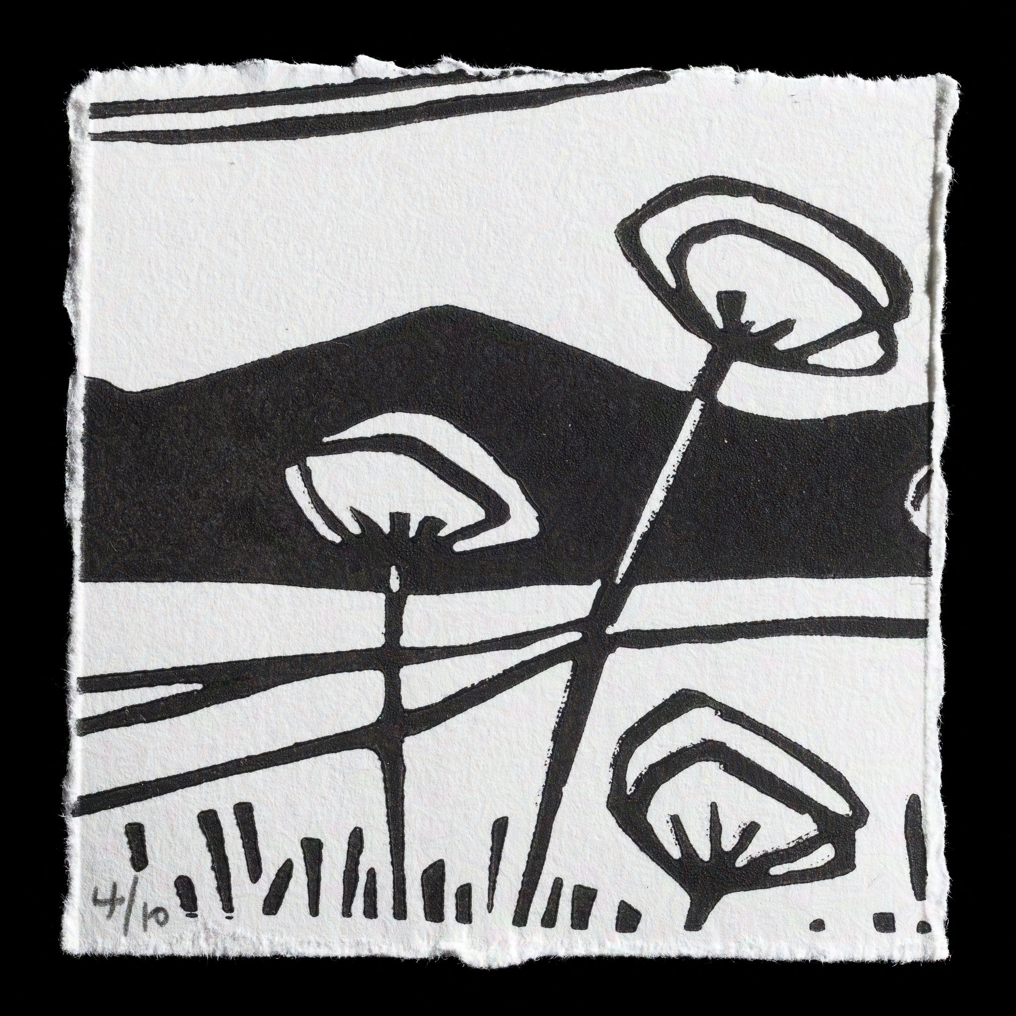 "Cotton Grass" by Laura Millar – OPEN PRINT EXCHANGE