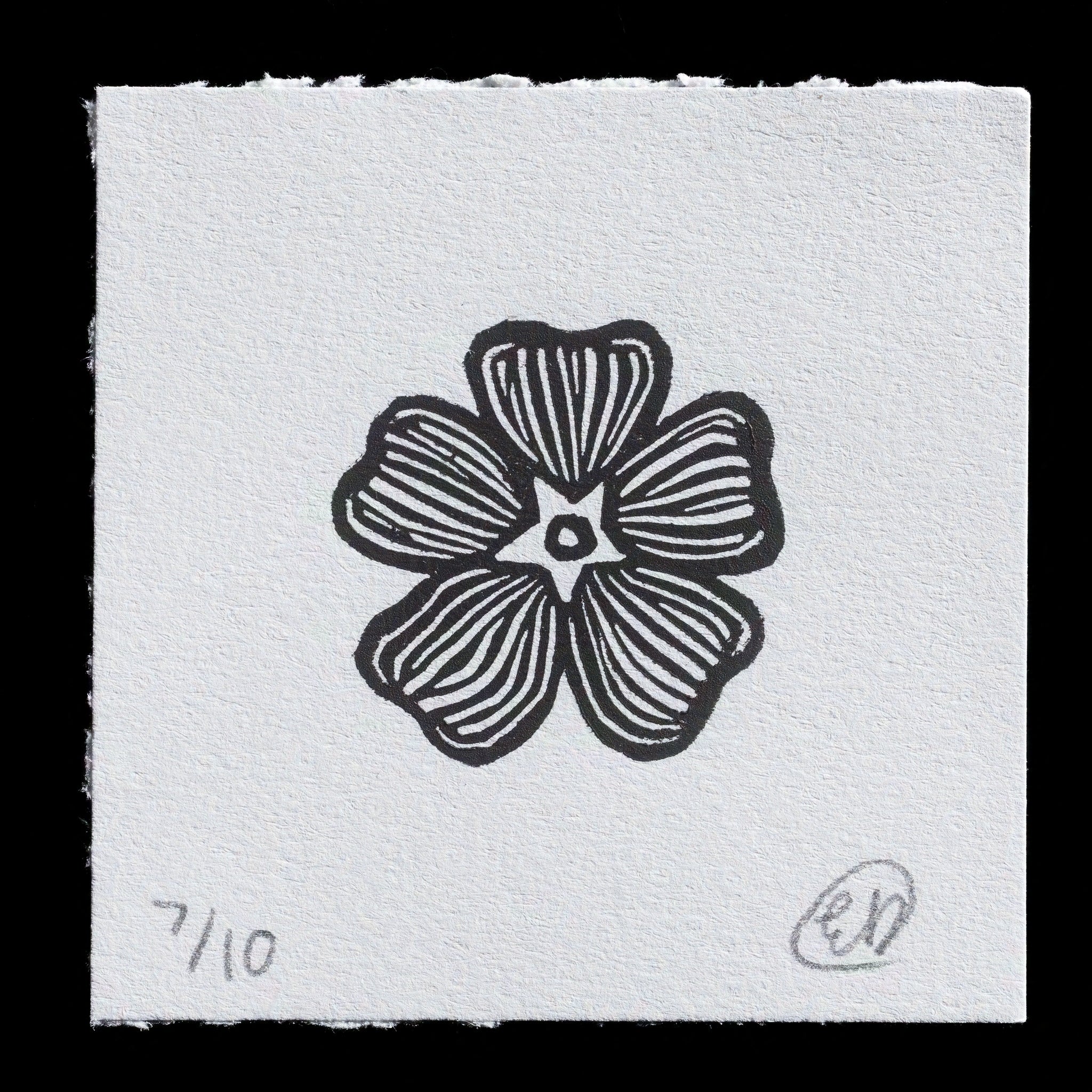 "Peters Mountain Mallow" by Emily Dye – OPEN PRINT EXCHANGE
